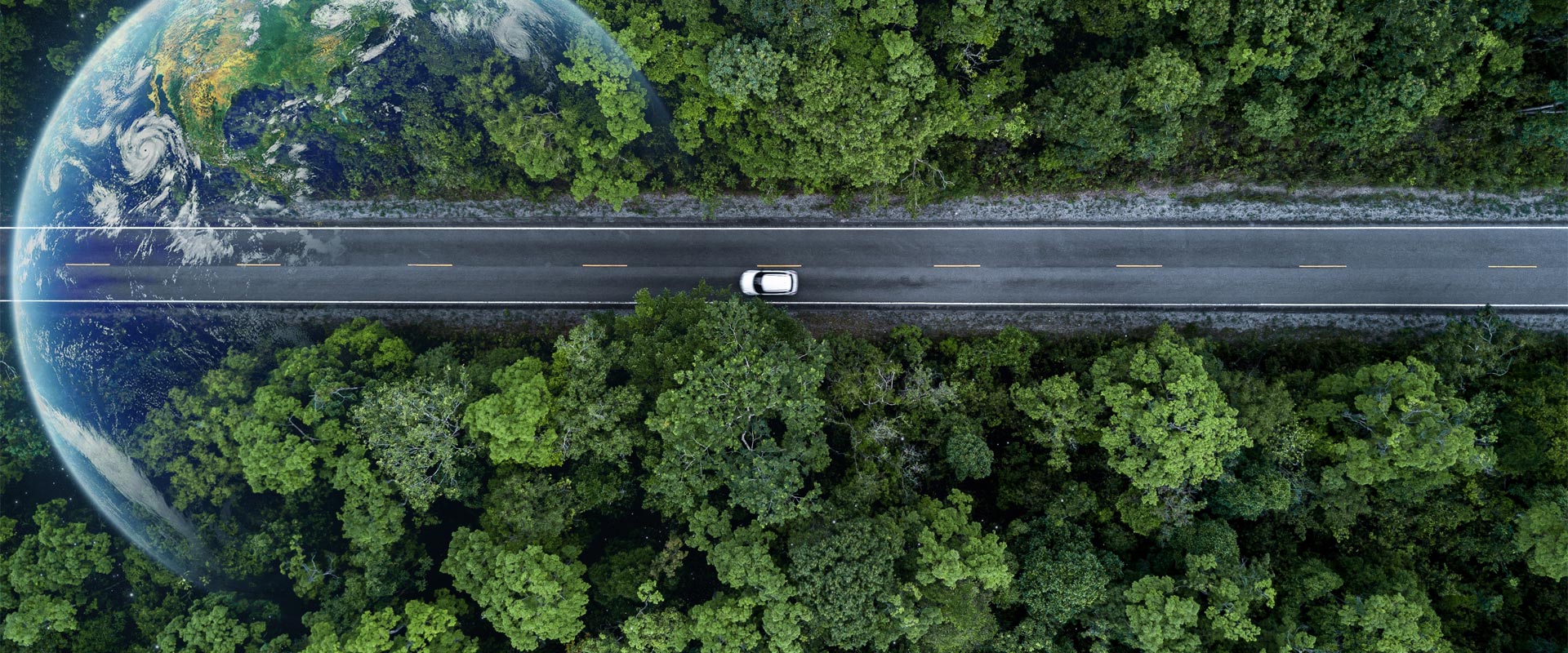 Low-Code vs. K.I. - Wer programmiert die Zukunft?